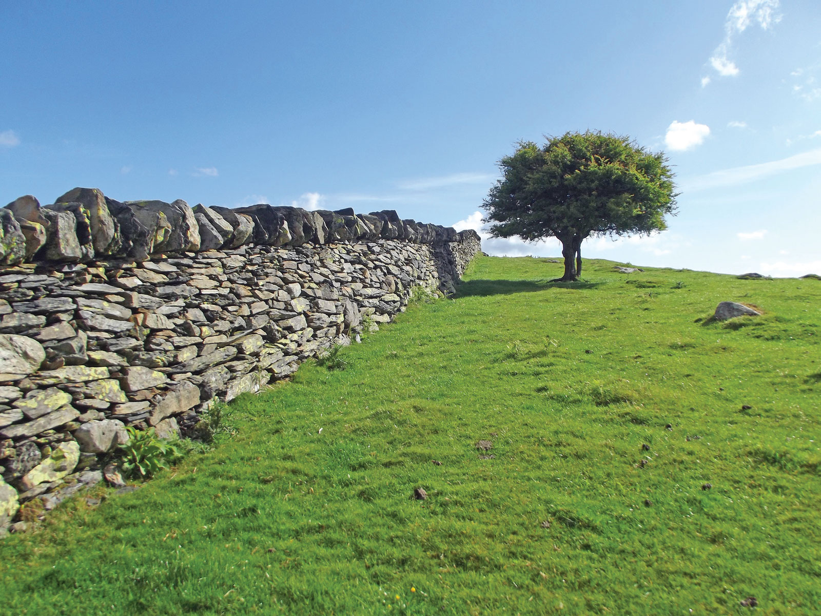 Tales from Wales: Set in Stone - Farm Collector